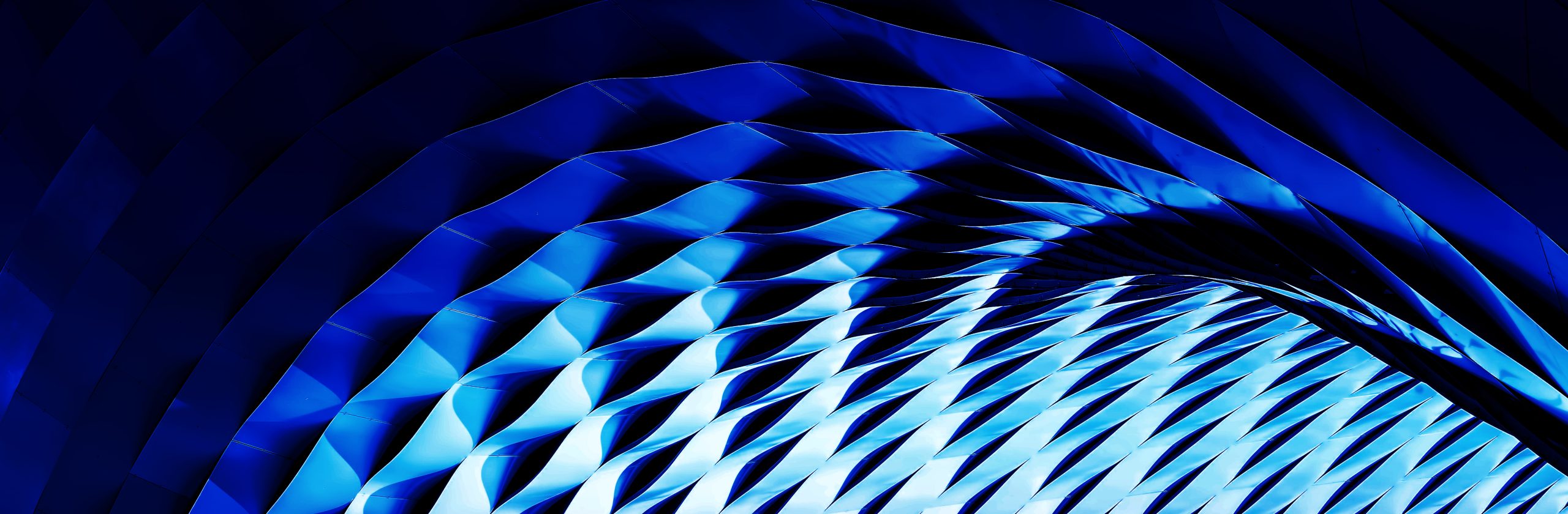 What We Do Azul Consulting What We Do Azul Consulting